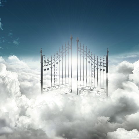 How much life insurance do you really need?